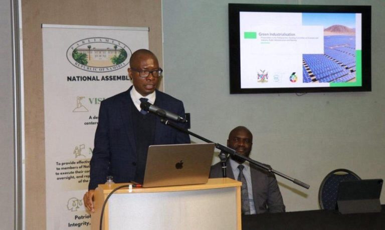 Task Force Assigned Six Months for Namibia's Electricity Strategy - Namibia