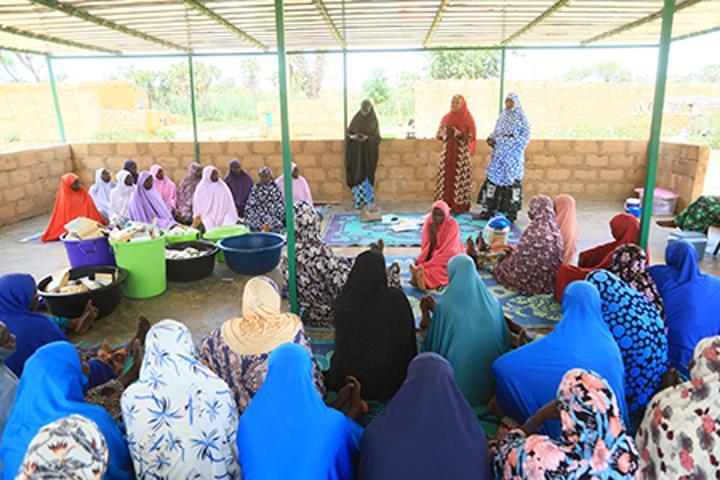 Autonomisation des femmes : Le moringa, l’or vert des femmes du village ...