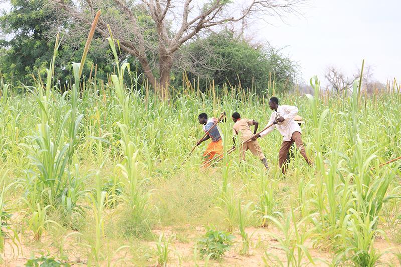 Karma Zarma Boboye Un Village Riche en Potentiel Agricole - niger