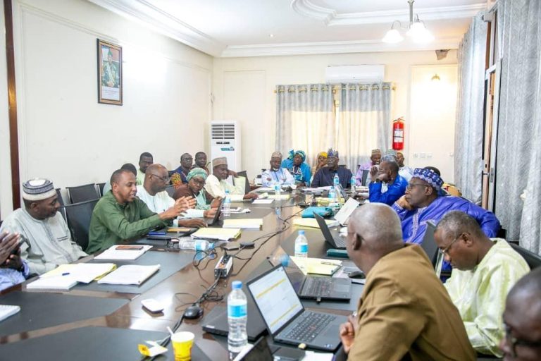 Comité de Pilotage Niger-LIRE Performances 2025 Perspectives 2026 - niger