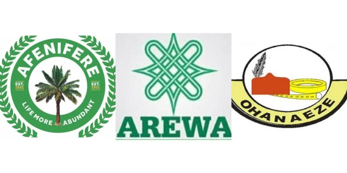 Controversial tax bills: Ohanaeze, Afenifere, Arewa youths state positions - Nigeria