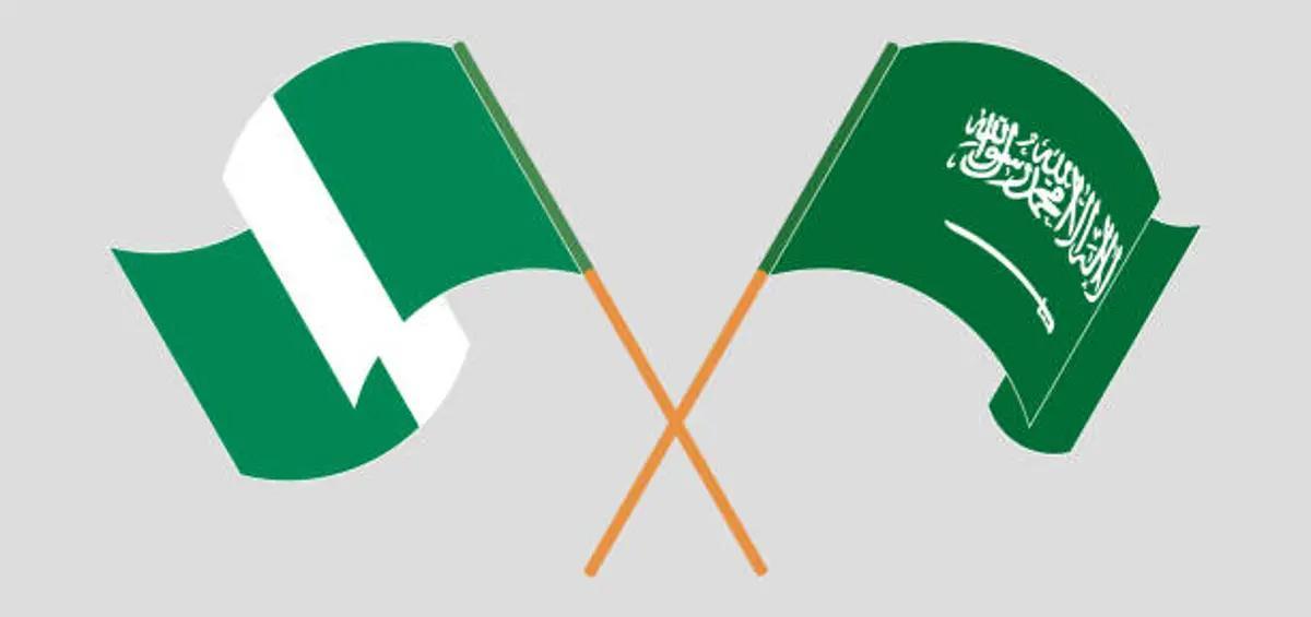 Nigeria, Saudi Arabia deepen ties on solid mineral exploration - Nigeria