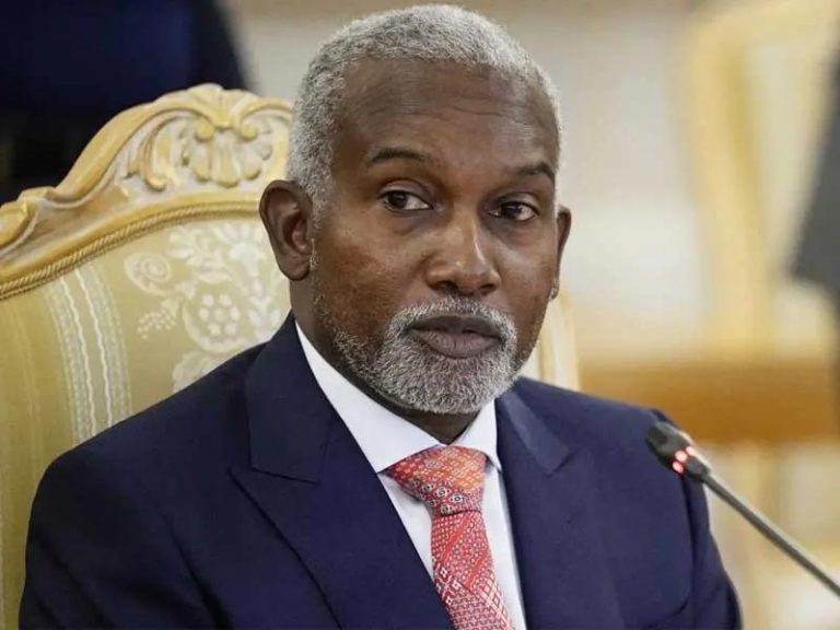 US Airstrikes Did Not Infringe on Nigeria's Sovereignty - Nigeria