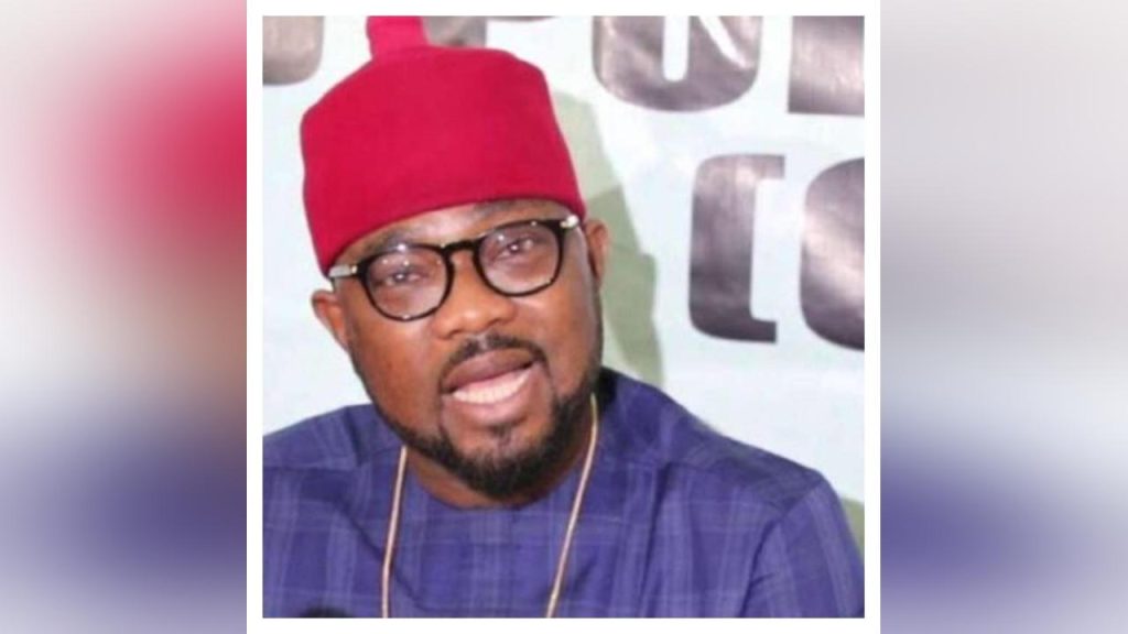 Ugochinyere Leaves PDP Claims Party Beyond Redemption - Nigeria