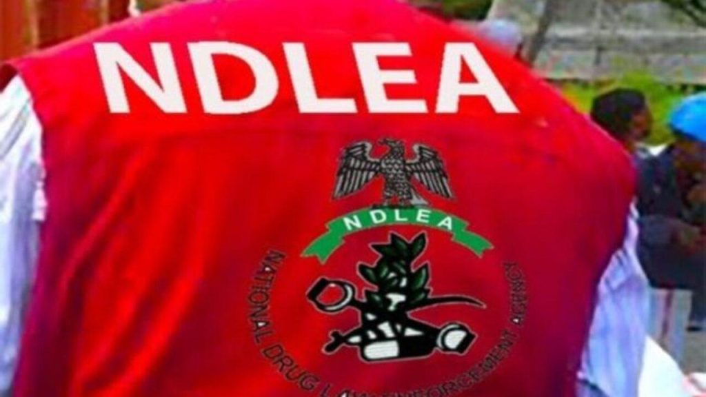NDLEA Arrests Ex-Convict and Seizes Cocaine Shipment - Nigeria