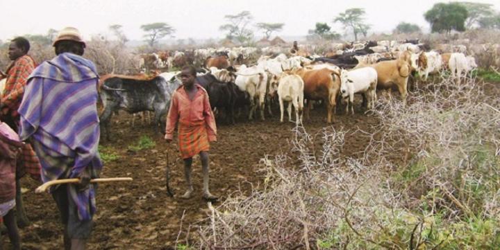 Mifugo Protocol laudable but needs regional political will and more ...