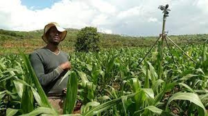 Rwanda retains top spot in delivering Africa’s agriculture plan - Rwanda