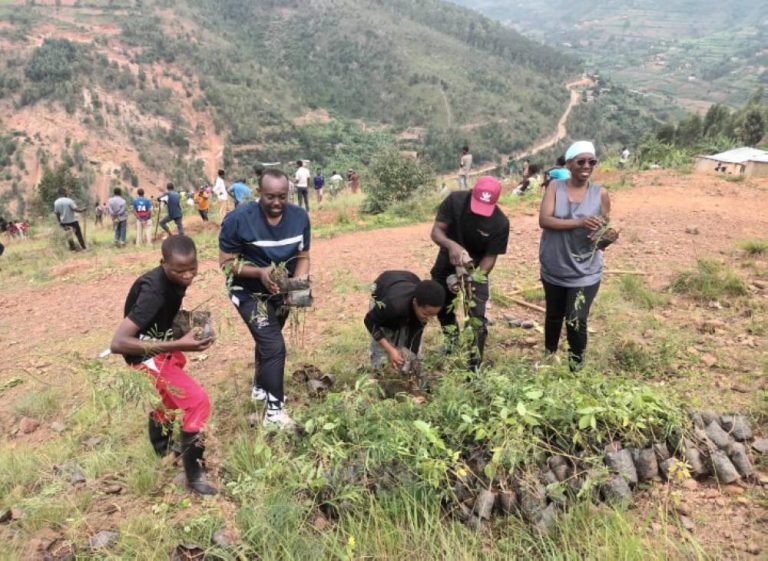 Five indigenous tree species that face extinction - Rwanda