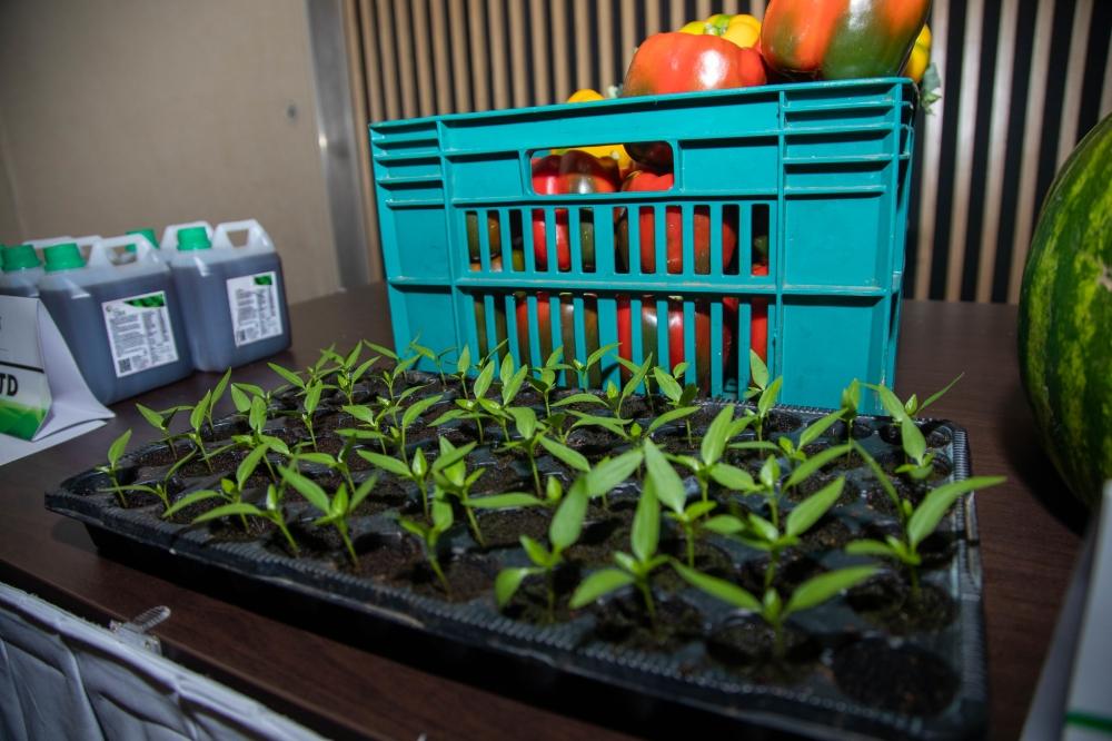 FEATURED: HortInvest project concludes five-year activities in Rwanda’s ...