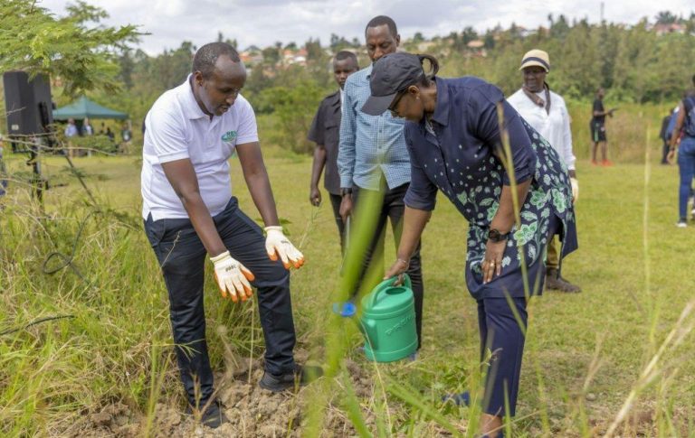 Umuganda: Kagame, First Lady plant trees in Nyandungu Eco Park - Rwanda