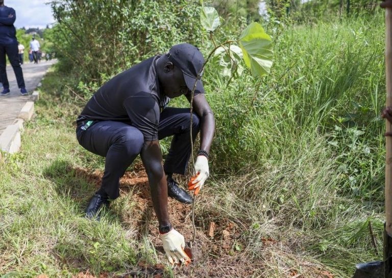 Umuganda: Kagame, First Lady plant trees in Nyandungu Eco Park - Rwanda