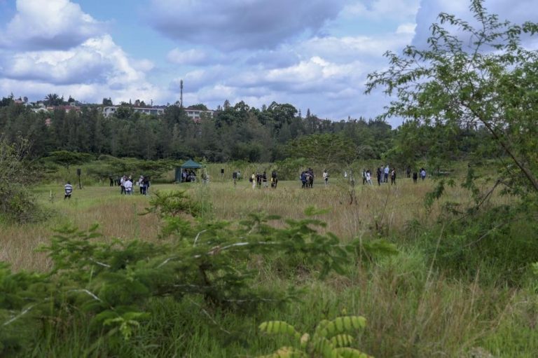 Umuganda: Kagame, First Lady plant trees in Nyandungu Eco Park - Rwanda