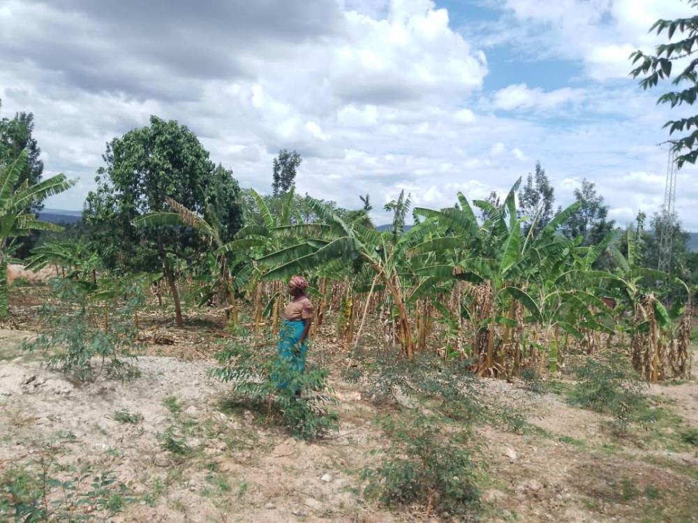 Mining operations in Kayonza raise concerns over safety of residential ...