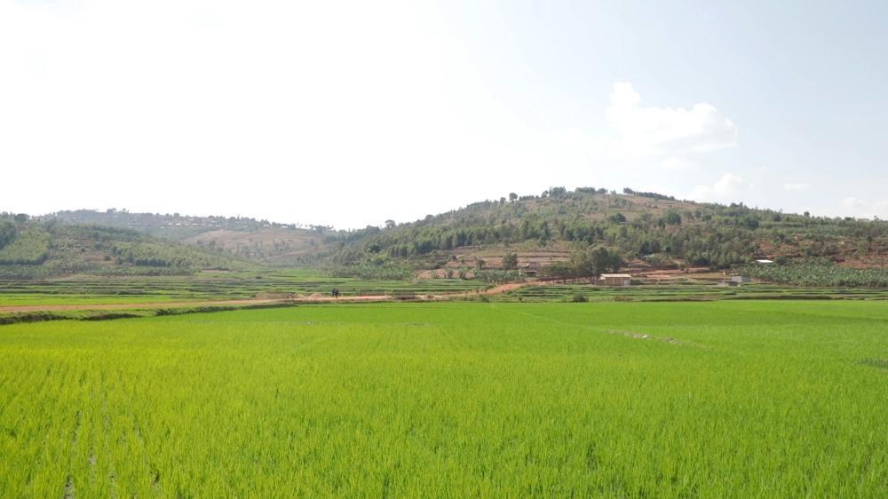 Gisagara embraces transformation as chipseal roads extend to local ...