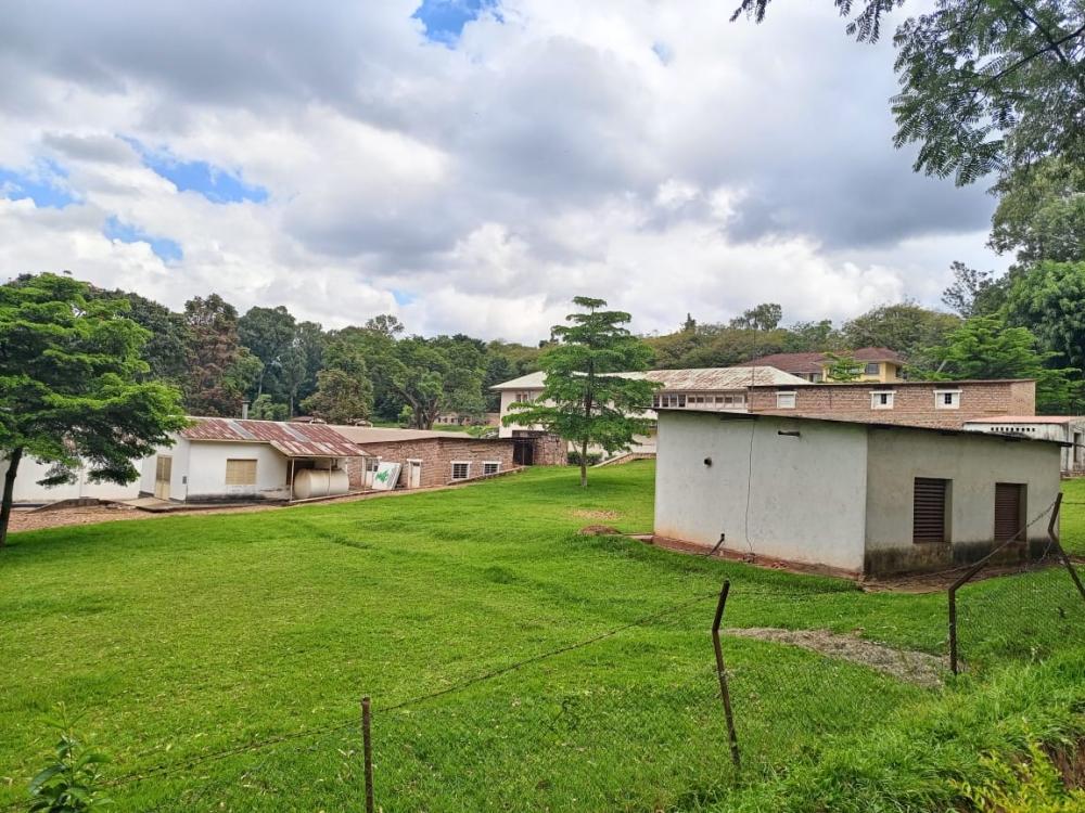 Gov’t to repurpose 1,000 idle state-owned buildings - Rwanda