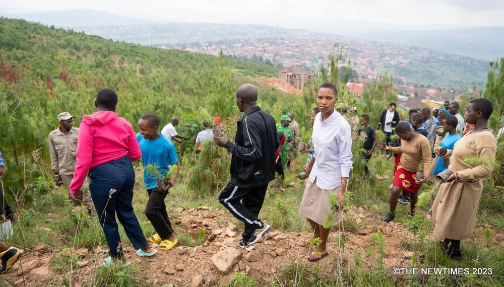 Chinese alumni association in Rwanda helps plant over 2,000 trees - Rwanda