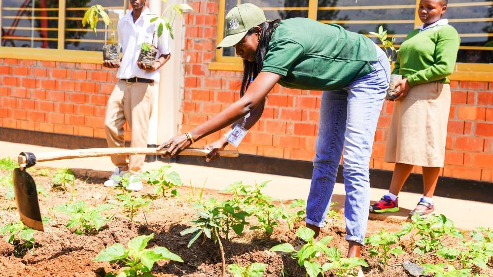 FAO's fruit tree planting project starts in 100 schools in Kigali - Rwanda