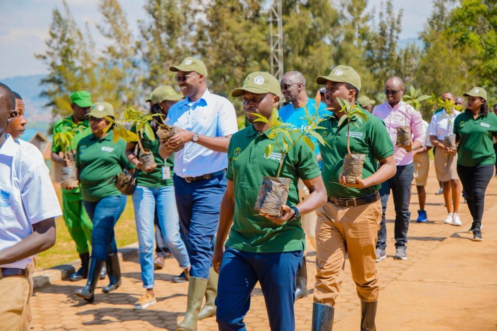 FAO's fruit tree planting project starts in 100 schools in Kigali - Rwanda