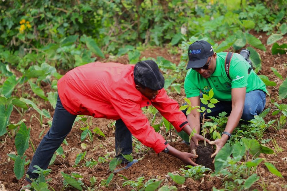 MuLaKiLa Project: Symphony of sustainability blossoms with 900,000 ...