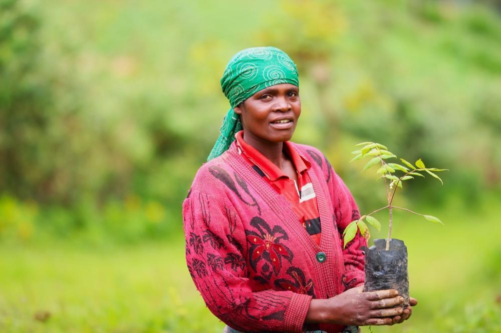 MuLaKiLa Project: Symphony of sustainability blossoms with 900,000 ...