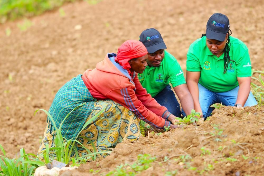 MuLaKiLa Project: Symphony of sustainability blossoms with 900,000 ...