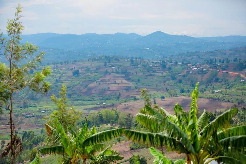Rwanda secures Rwf40bn for forest management in Kaduha-Gitwe corridor ...