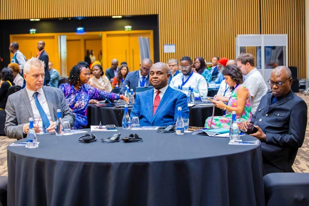 Experts convene in Kigali for UNDP conference on tackling Africa's ...