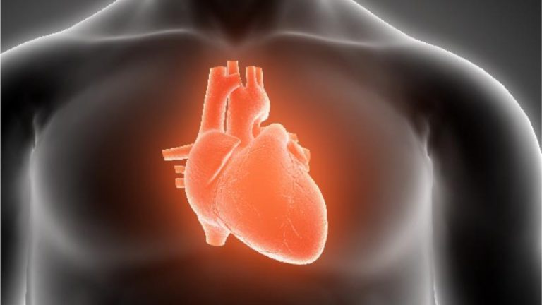 Russian Researchers Uncover Heart Attack Prevention Innovation - Rwanda