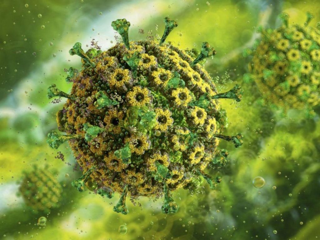 Le Virus de L’herpès a Intégré Notre Génome il y a 2500 Ans - São Tomé ...