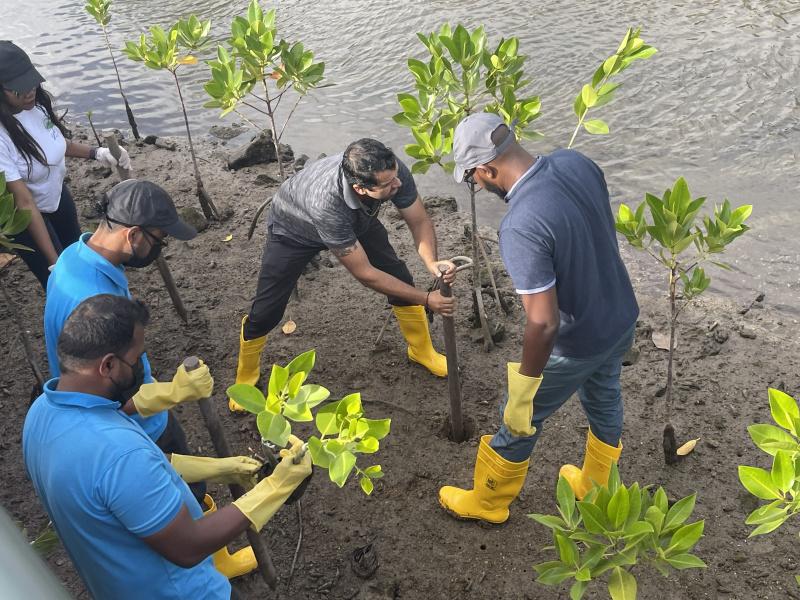 International Day for the Conservation of Mangroves Students help ...