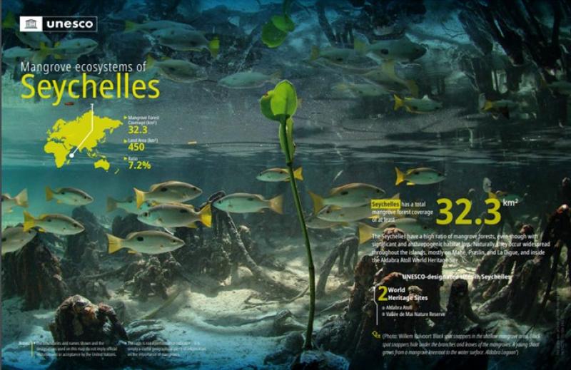 International Day For The Conservation Of The Mangrove Ecosystem