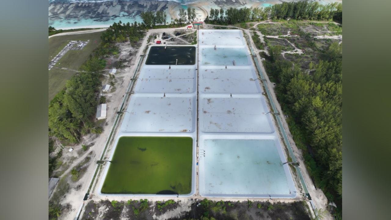 First batch of IDC-produced prawns to hit market in April - Seychelles