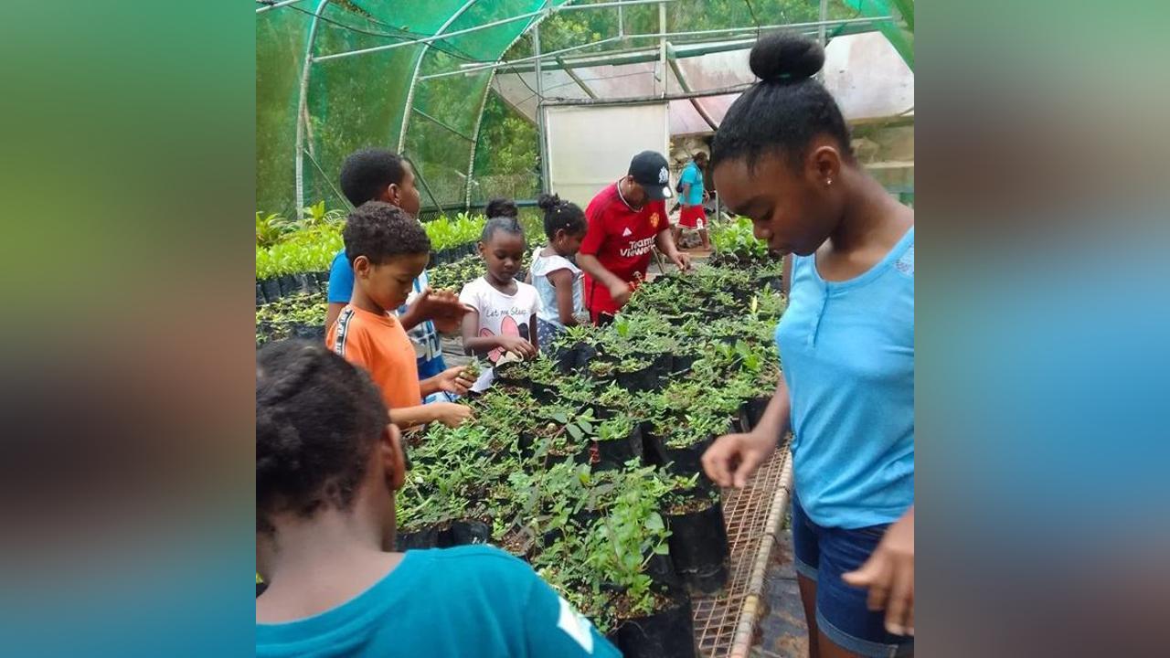 Celebrating 15 Years of Successful Terrestrial Restoration in ...