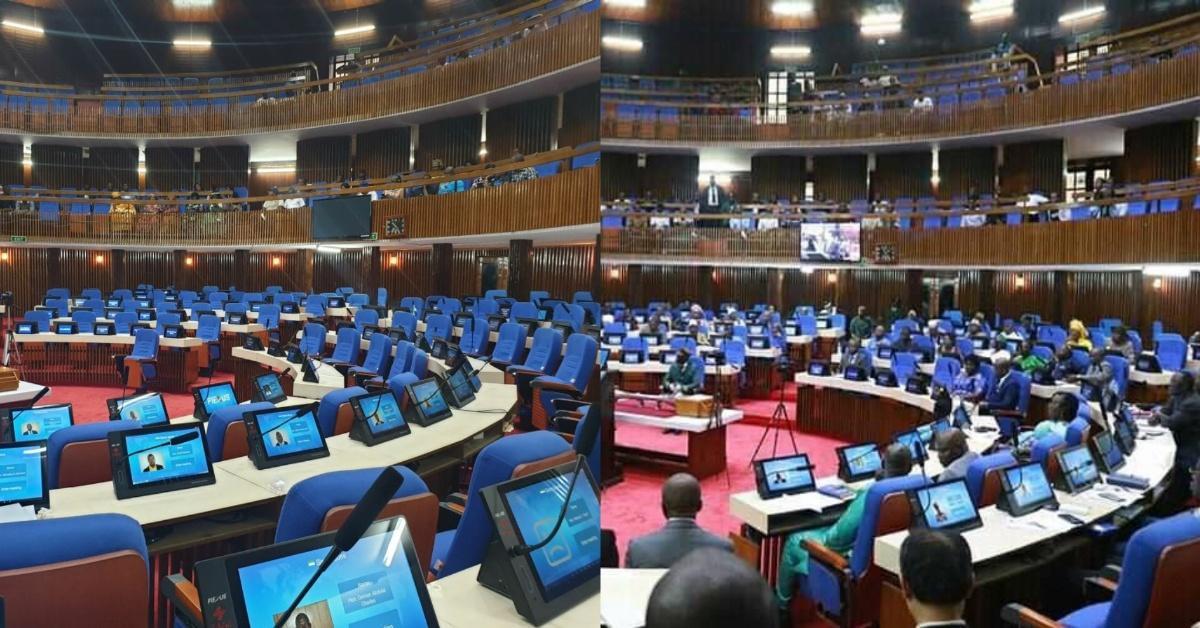 Parliament Investigation Reveals Significant Issues in Local Council ...