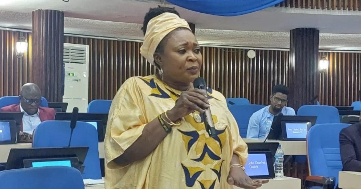 Hon. Catherine Zainab Tarawalley Slams FY2025 National Budget - Sierra ...