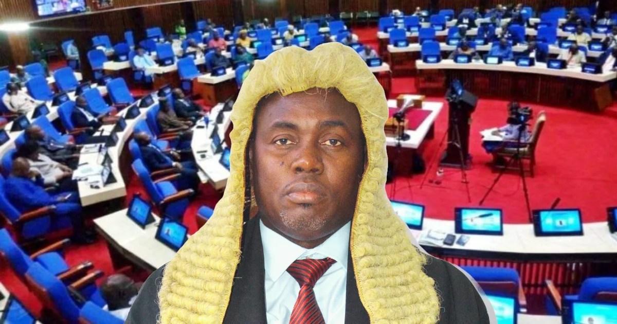 Speaker’s Ruling Shifts Balance: Taylor Pearce’s Fate Uncertain ...
