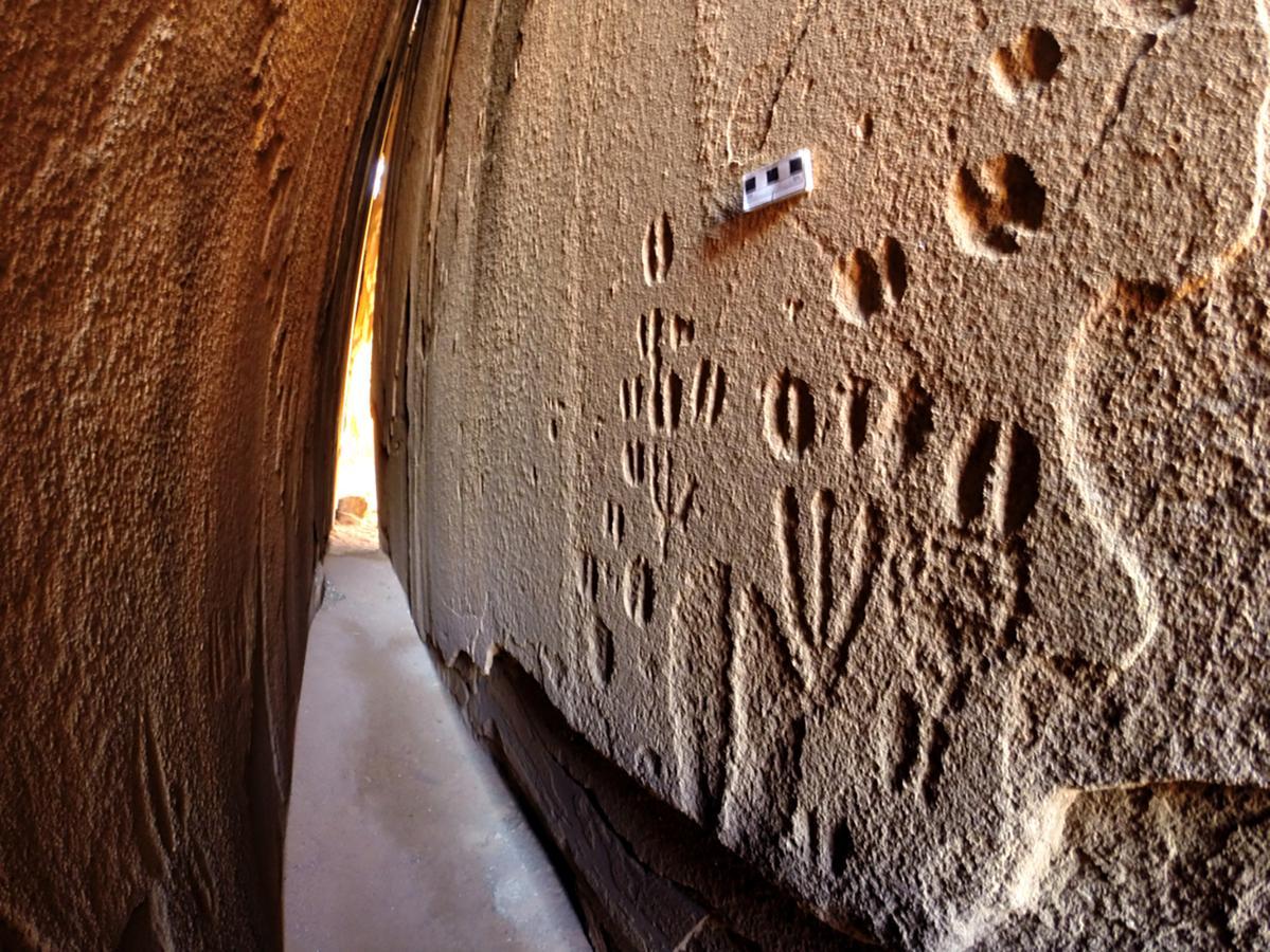 Ancient Carvings Depict Animal Tracks So Accurately Archeologists Can ...
