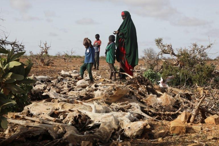 شبح مجاعة جديدة في الصومال Somalia