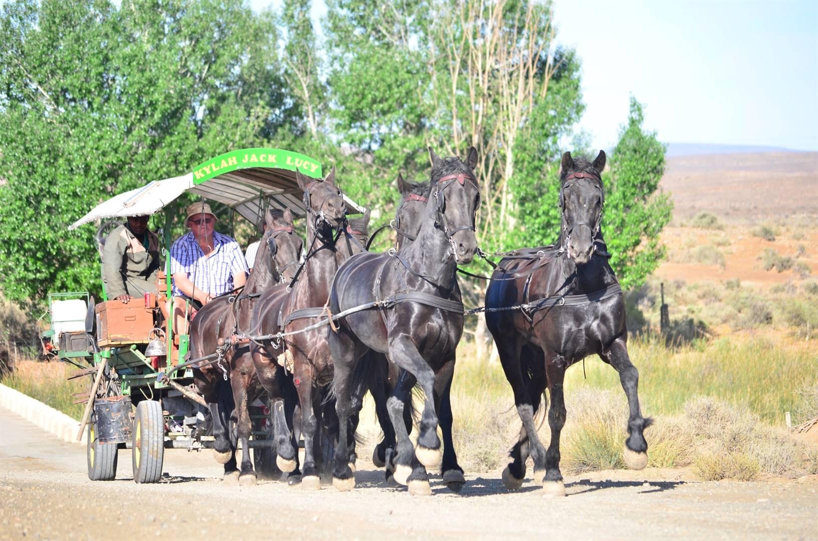 Forgotten Highway taps into possibilities of SA countryside - South Africa