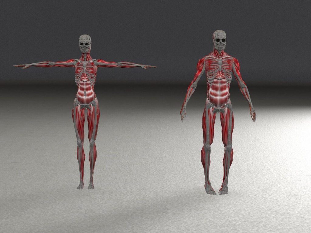 MIT Expert Explains What Biological Machines Are and What Functions ...