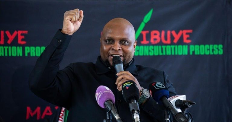 Floyd Shivambu's Mayibuye Consultation Becomes Party - South Africa