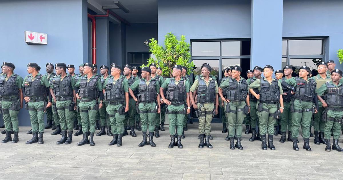 Gauteng Community Safety Seeks Protection for Wardens - South Africa
