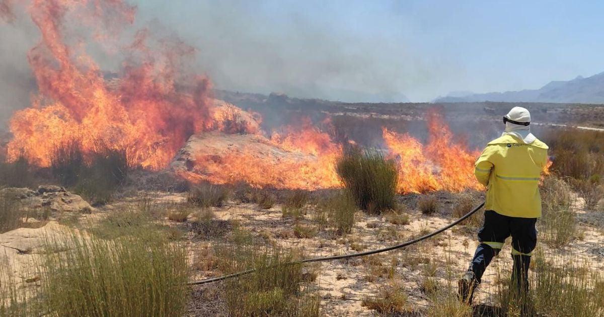 Cederberg Wildfire Firefighters Mop Up After 12 Days - South Africa