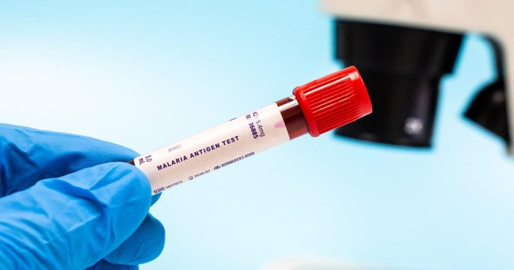 Gauteng Malaria Cases Imported From High-Risk Areas - South Africa