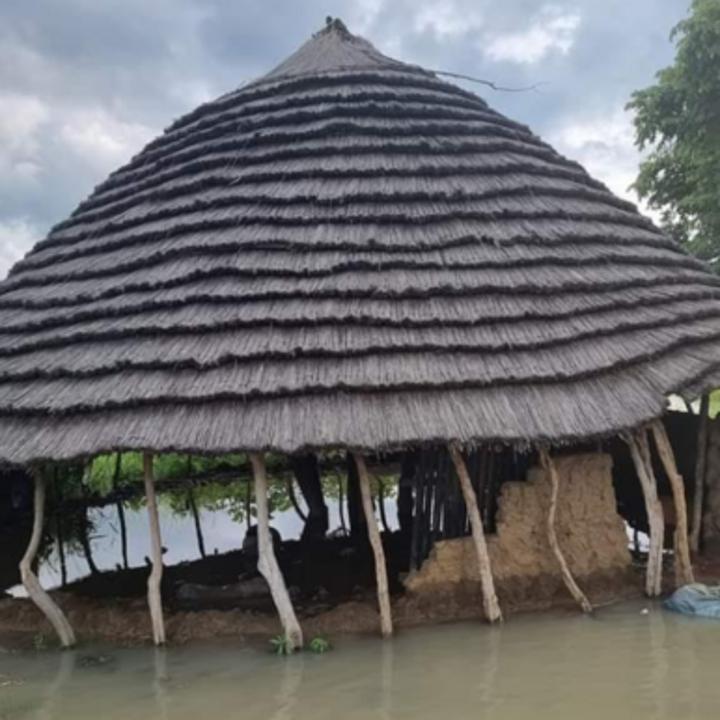 5 children drown, 9 snake bites reported in Jur River County due to ...