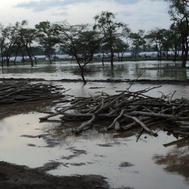Floods leave people displaced, damage crops in Maban - South Sudan