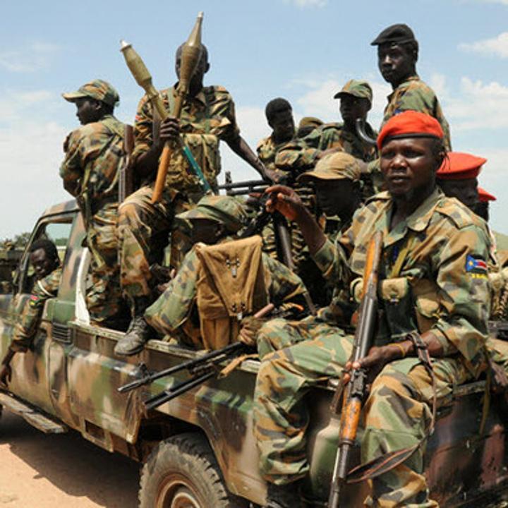 SSPDF to use force if 'white army' refuses to return to Jonglei - South ...