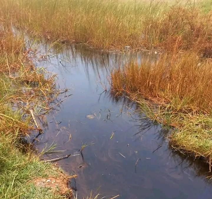 Ruweng official faults national govt over oil pollution - South Sudan