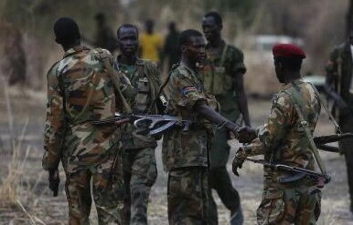 Wau: Commissioner faults SPLA-IO for 'terrorizing civilians' - South Sudan