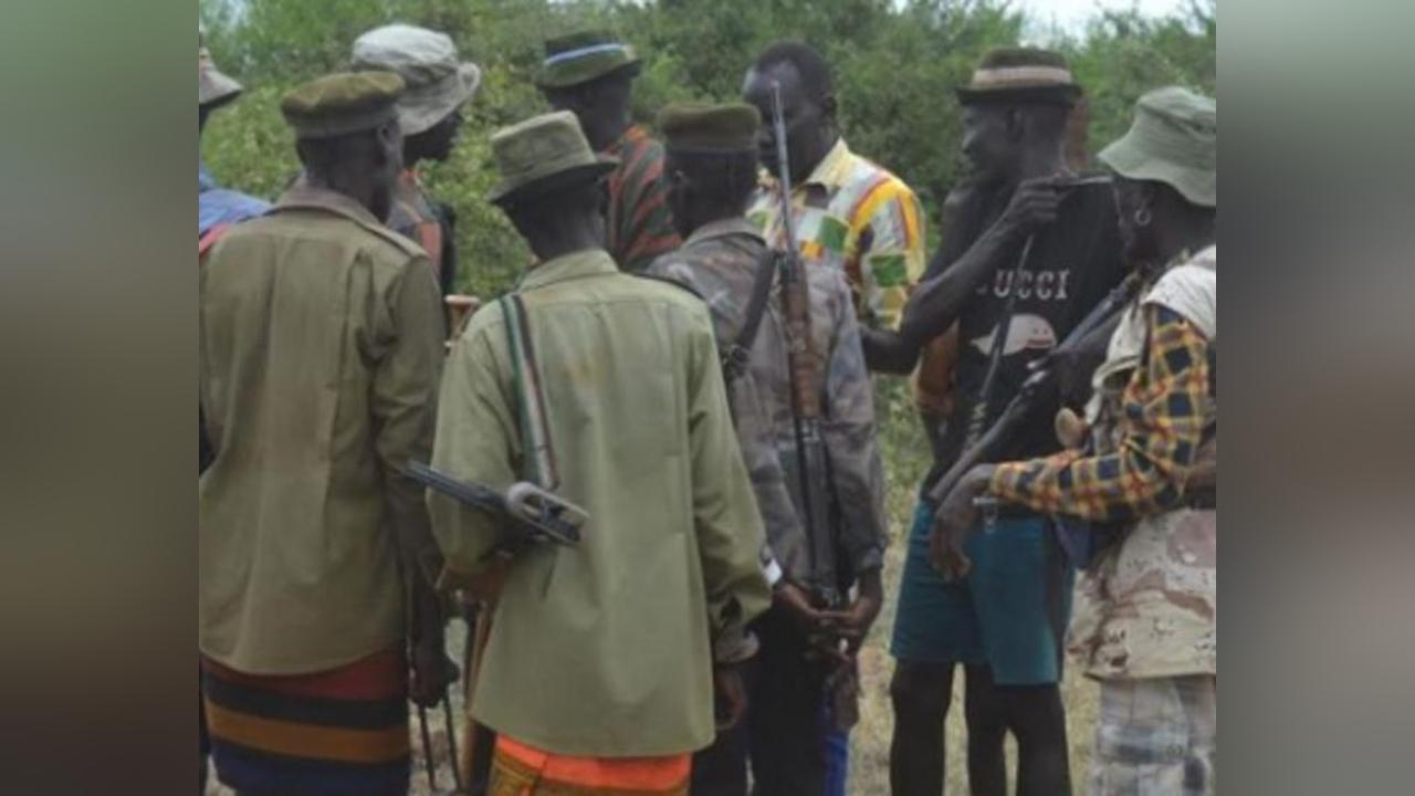 Toposa set conditions for reopening Kapoeta-Pibor Road - South Sudan